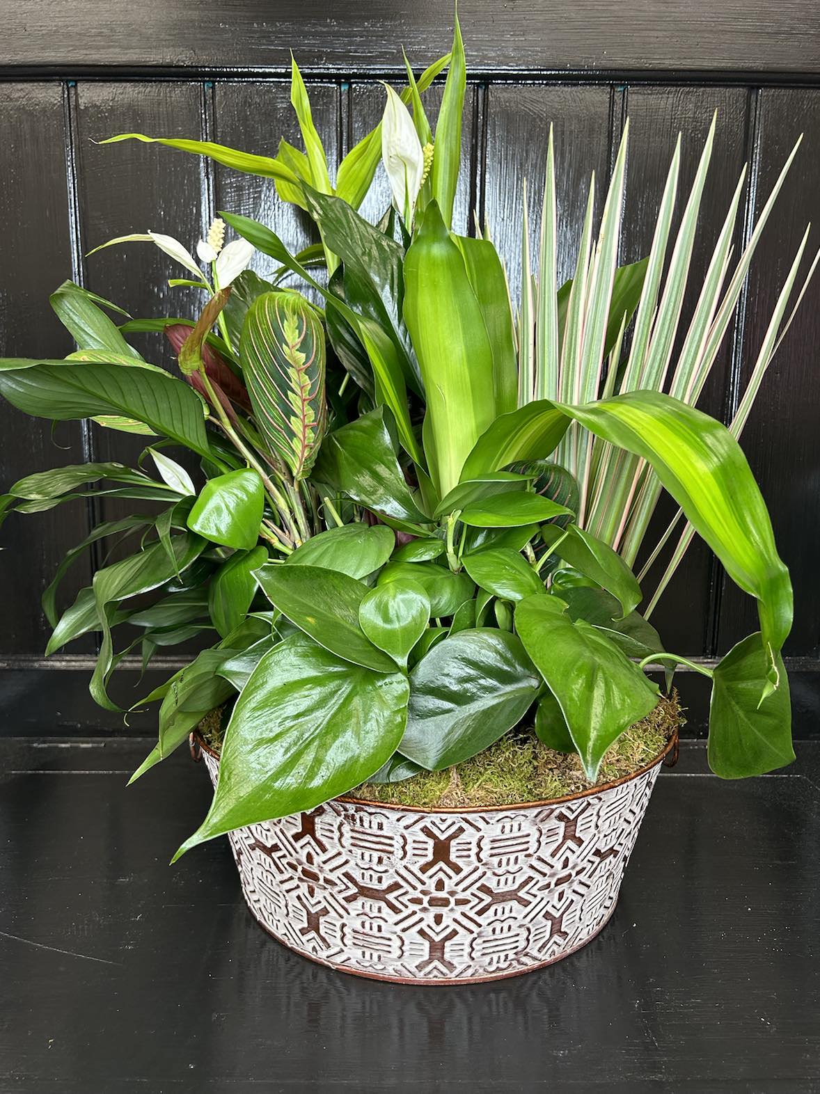 Potted Plants – Bear River Floral & Gifts